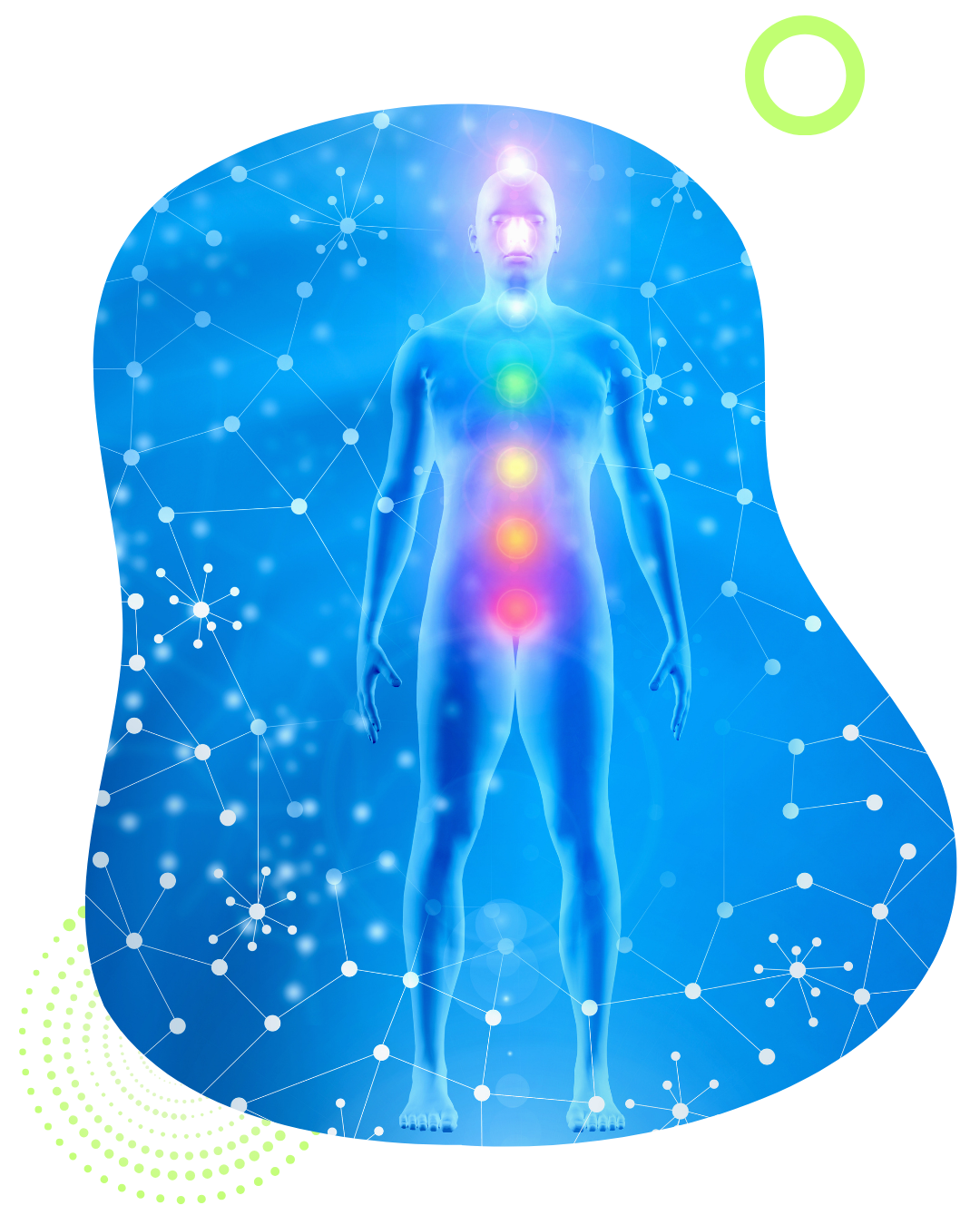 Apometria na Prática – Fernando Prioli – Apometria